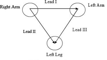 Virtual Labs